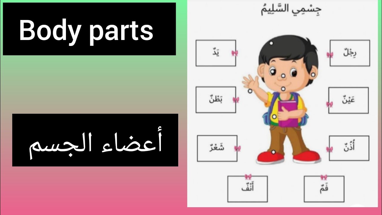 body parts name in arabic.. اجزاء الجسم.. @body parts. / learn arabic ...