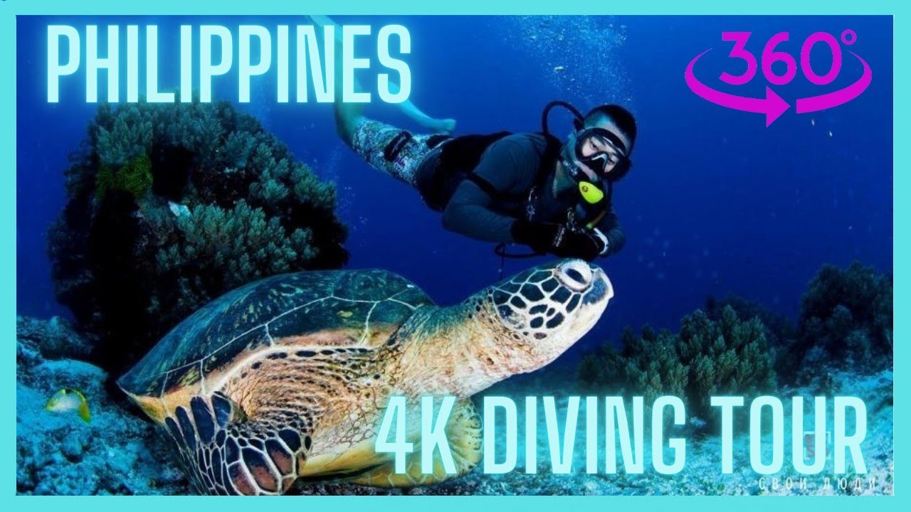 🌊🐟🏝 Boundless depths: 360 video diving in the waters of the Philippine ...
