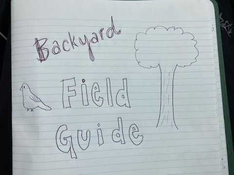 Outdoor Classroom 4: Backyard Field Guide - YouTube