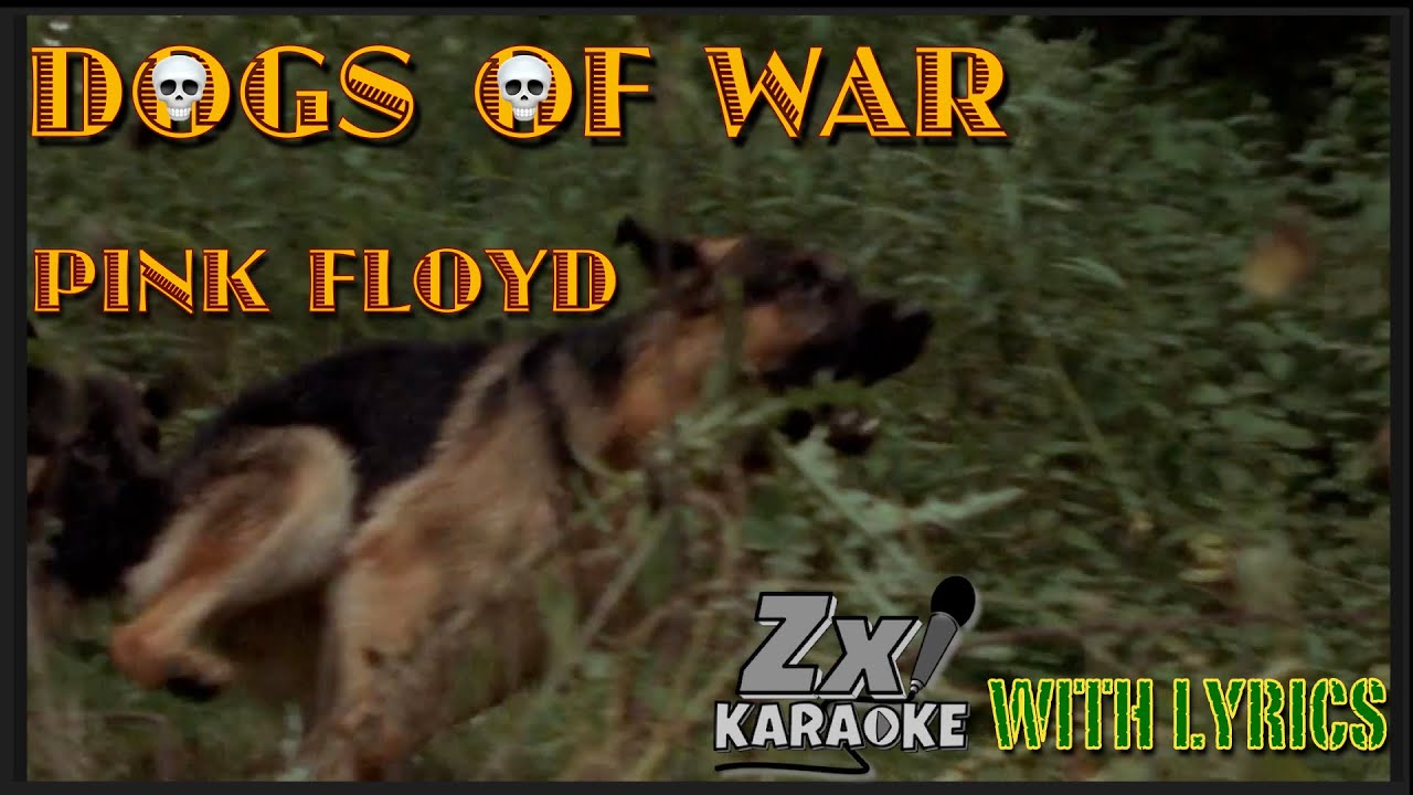 Pink Floyd Dogs of War [Karaoke with Lyrics] - YouTube