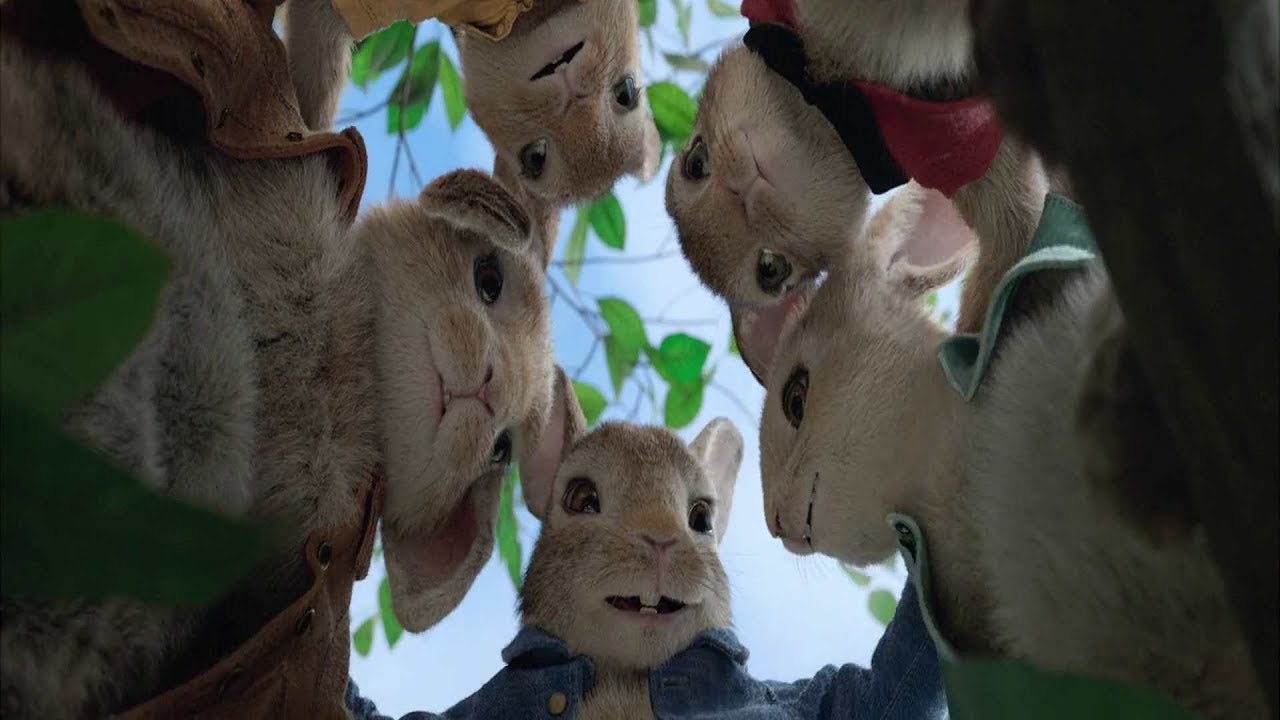 The Party of Rabbit and another Animals - Peter Rabbit 2018 - YouTube