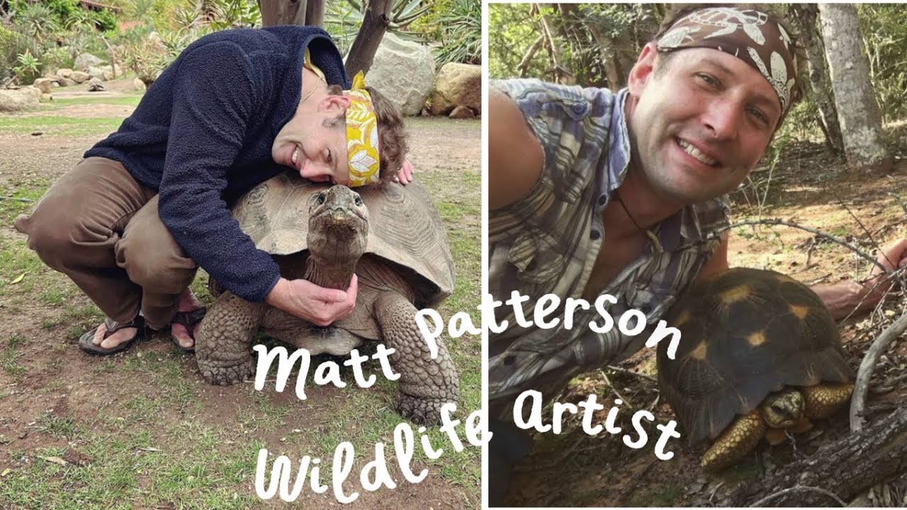Matt Patterson, Wildlife Artist, New Hampshire - YouTube