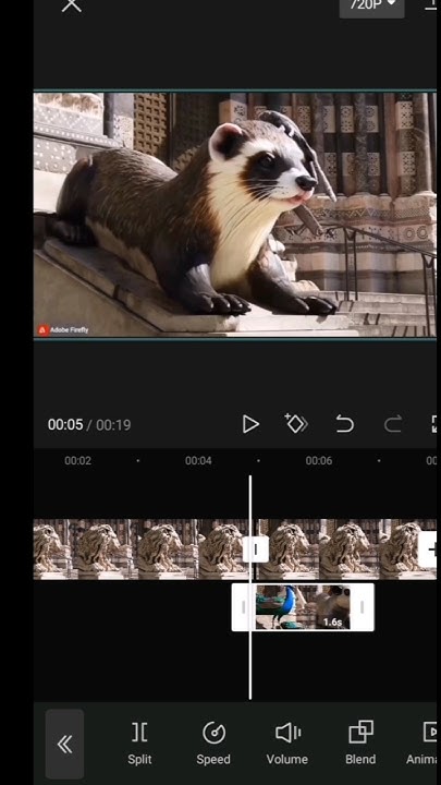 Create Time Lapse video | Adobe Firefly | Hyperlapse video editing | #shorts #shortvideo #capcut ...