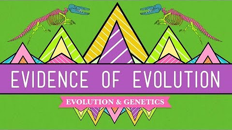 Biology STAAR REVIEW: Biological Evolution and Classification - YouTube