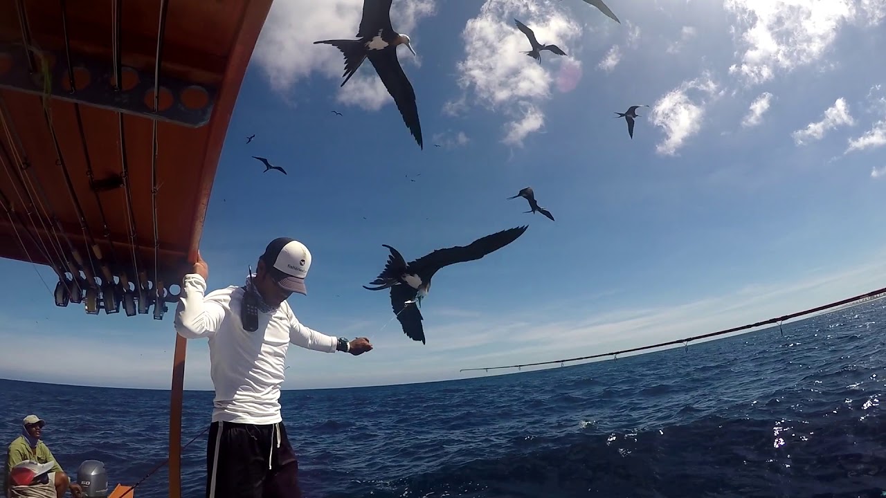 Flyfishing on Christmas Island - YouTube