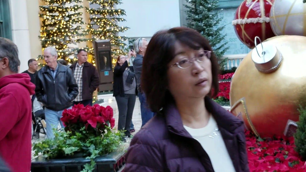 Winter display Bellagio conservatory 2x zoom December 1st 2018 - YouTube