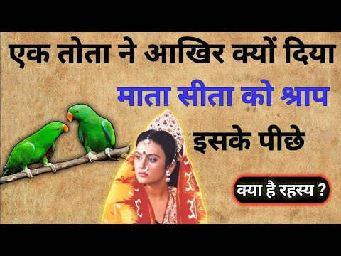 एक तोते ने माता सीता को क्यों दिया इतना भयंकर श्राप Mata Sita। Renu ...