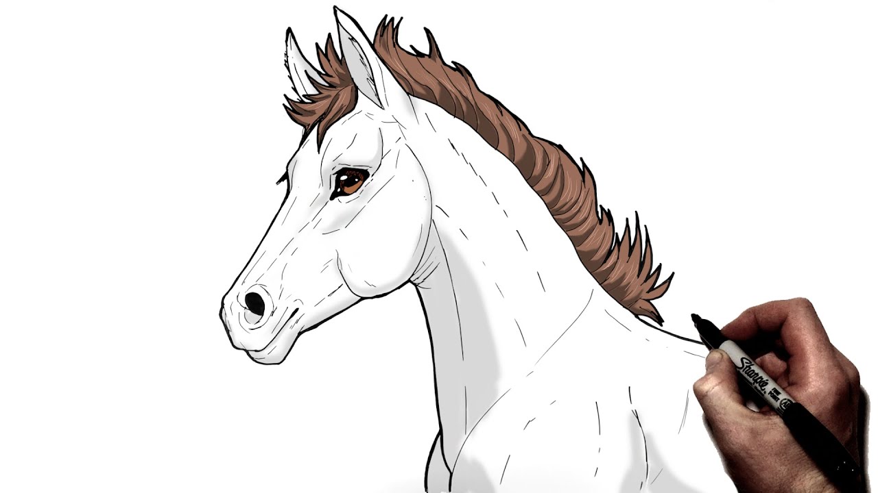 How To Draw A Foal (Pony) | Step By Step - YouTube