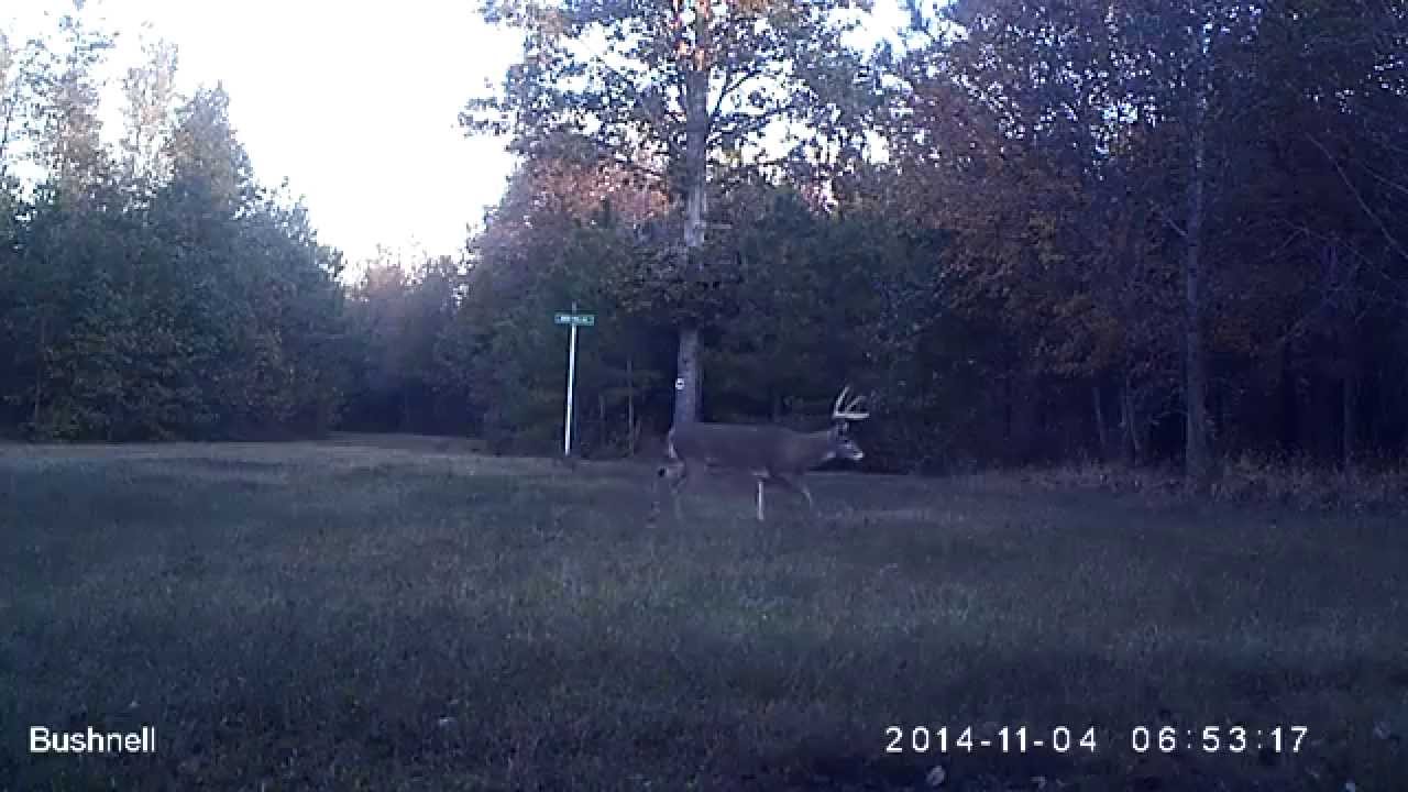 Big 8 Pointer 11-4-14 - YouTube