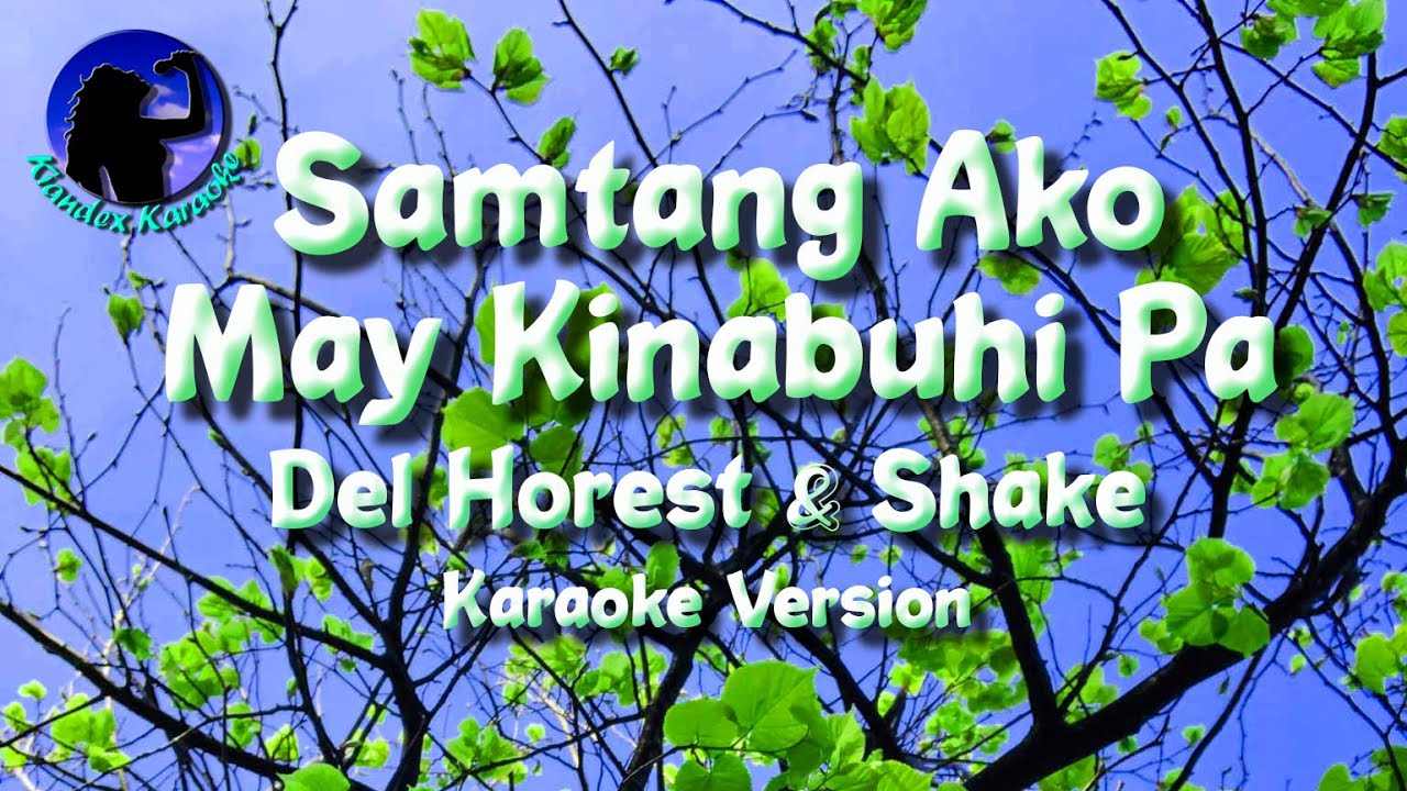 Samtang Ako May Kinabuhi Pa ~ Del Horest & Shake [Karaoke Version ...