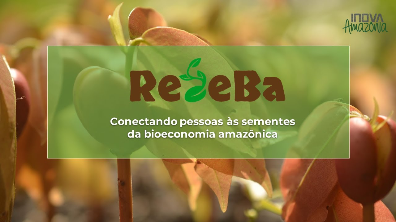 Pitch RESEBA - Inova Amazônia - Rondônia - YouTube