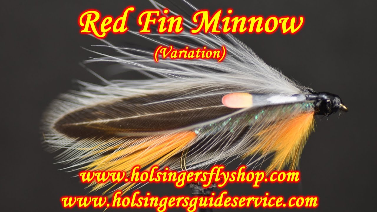 Red Fin Minnow Variation, Holsinger's Fly Shop - YouTube