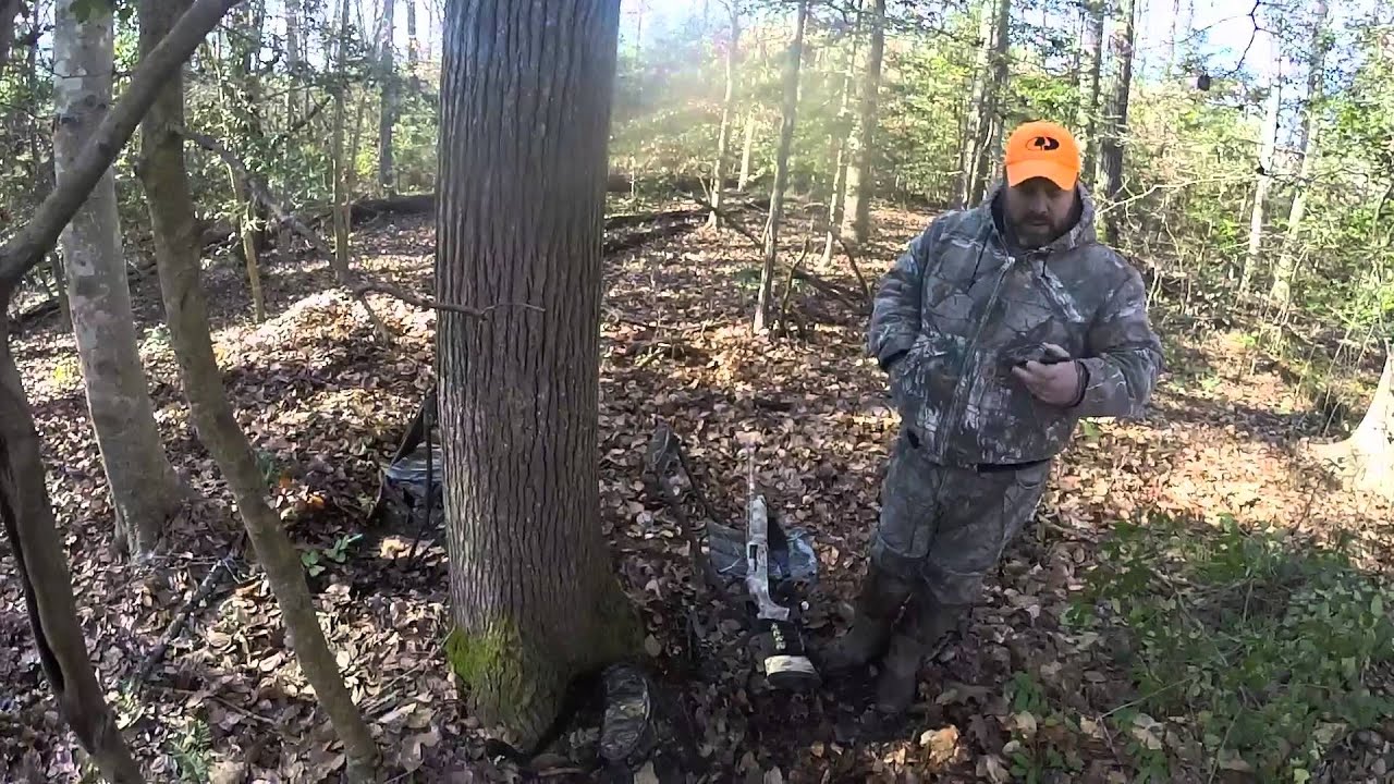 Deer Dog Hunting in Prince George County - YouTube
