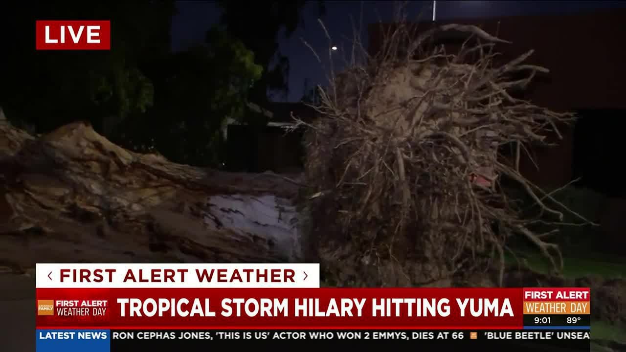 Tropical Storm Hilary hitting Yuma - YouTube