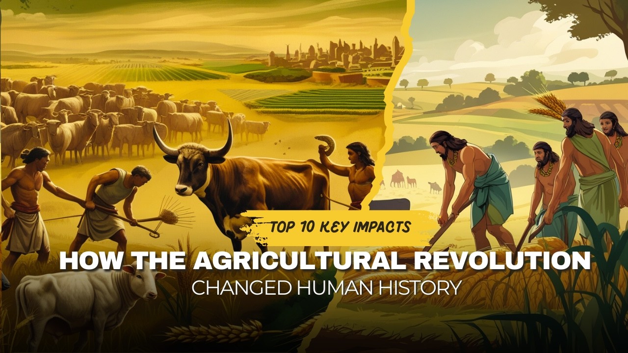 How the Agricultural Revolution Changed Human History 10 Key Impacts ...
