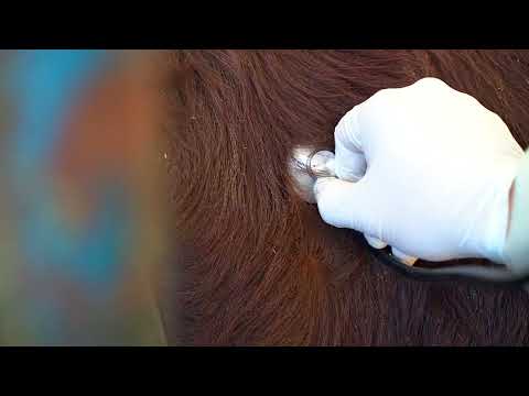 Göktaşlar   Tanıtım Filmi