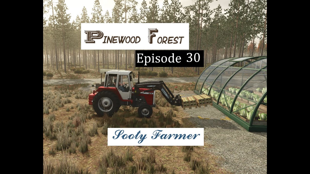 Pinewood Episode 30 Early weeding. - YouTube