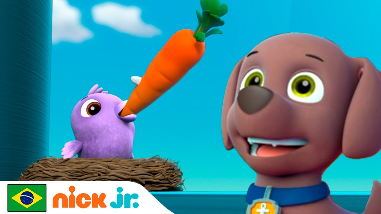 Patrulha Canina | Os filhotes e o dente perdido! | Nick Jr. em ...