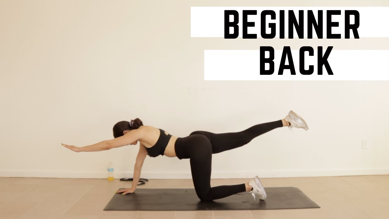 Back Workouts At Home For Beginners - YouTube