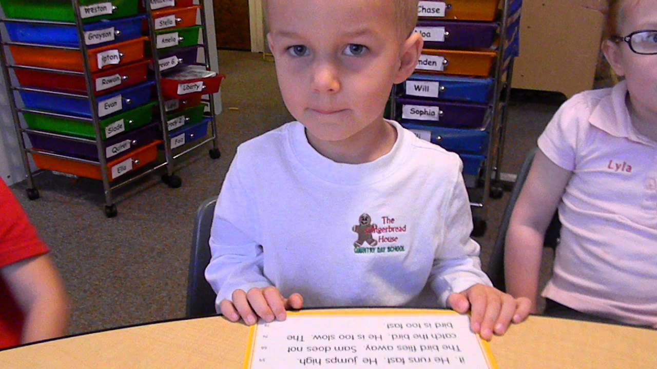 Fluency Reading, Sam the Cat - YouTube