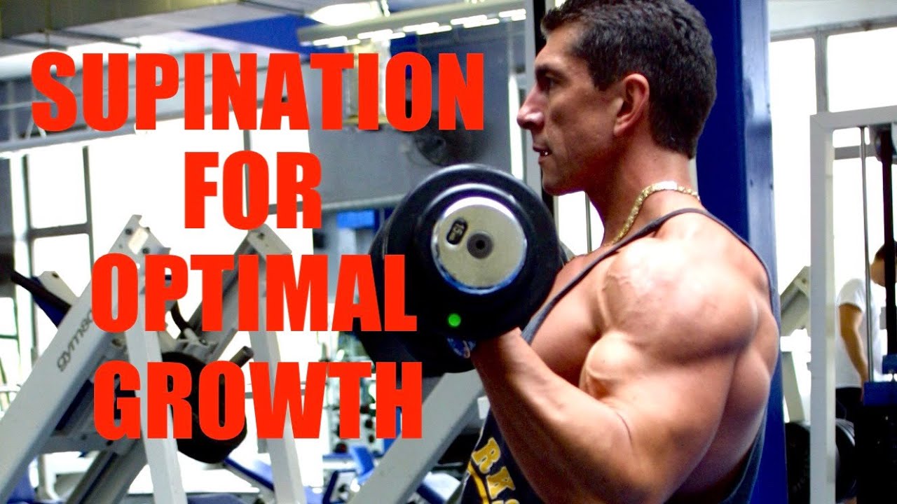 WHY SUPINATION IS THE KEY TO FULL BICEPS DEVELOPMENT - YouTube