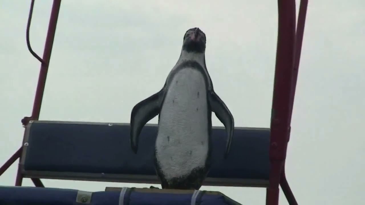 The Needles Chairlift Ride. - YouTube