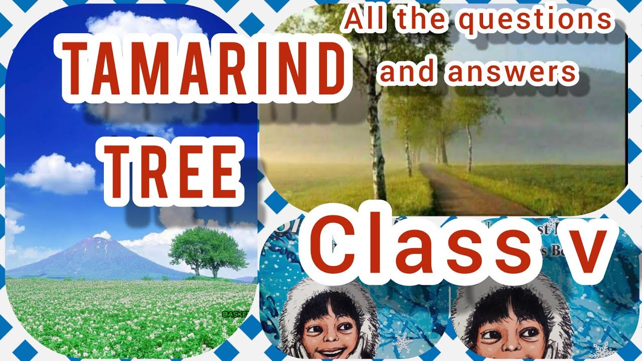 Tamarind Tree🌲ch-10 / English / All the questions and answers / - YouTube