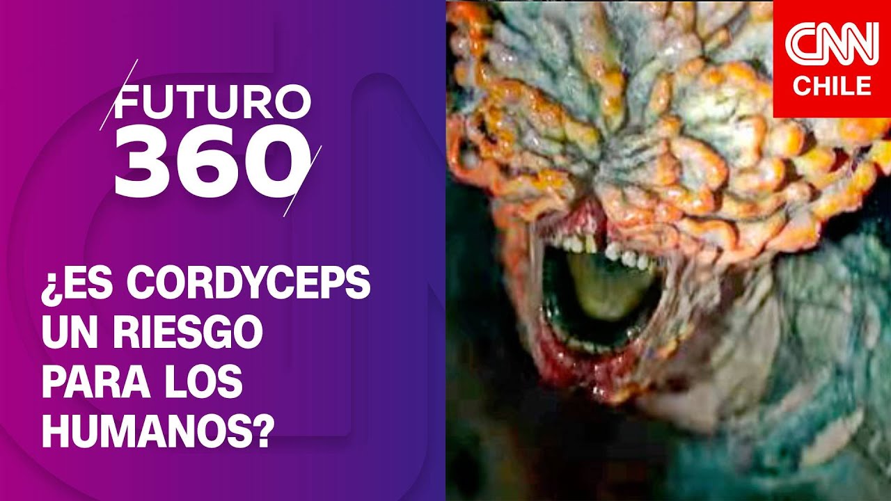 Bloque científico: ¿Puede el hongo Cordyceps de "The Last of Us ...