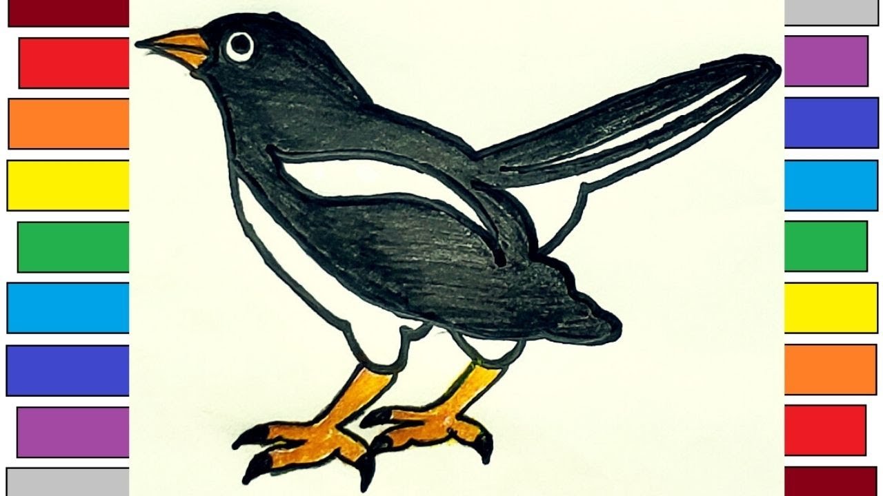 Magpie Drawing Easy||দোয়েল পাখি আঁকা||পাখি আঁকার সহজ উপায়||drawing ...