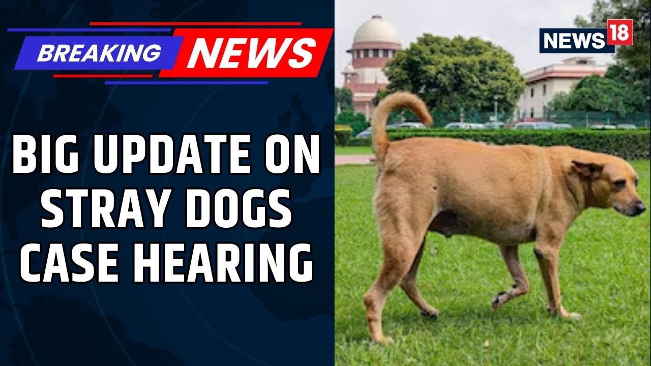 'For Every Dog-Bite, We Are Likely To...': Supreme Court's Big Remark ...