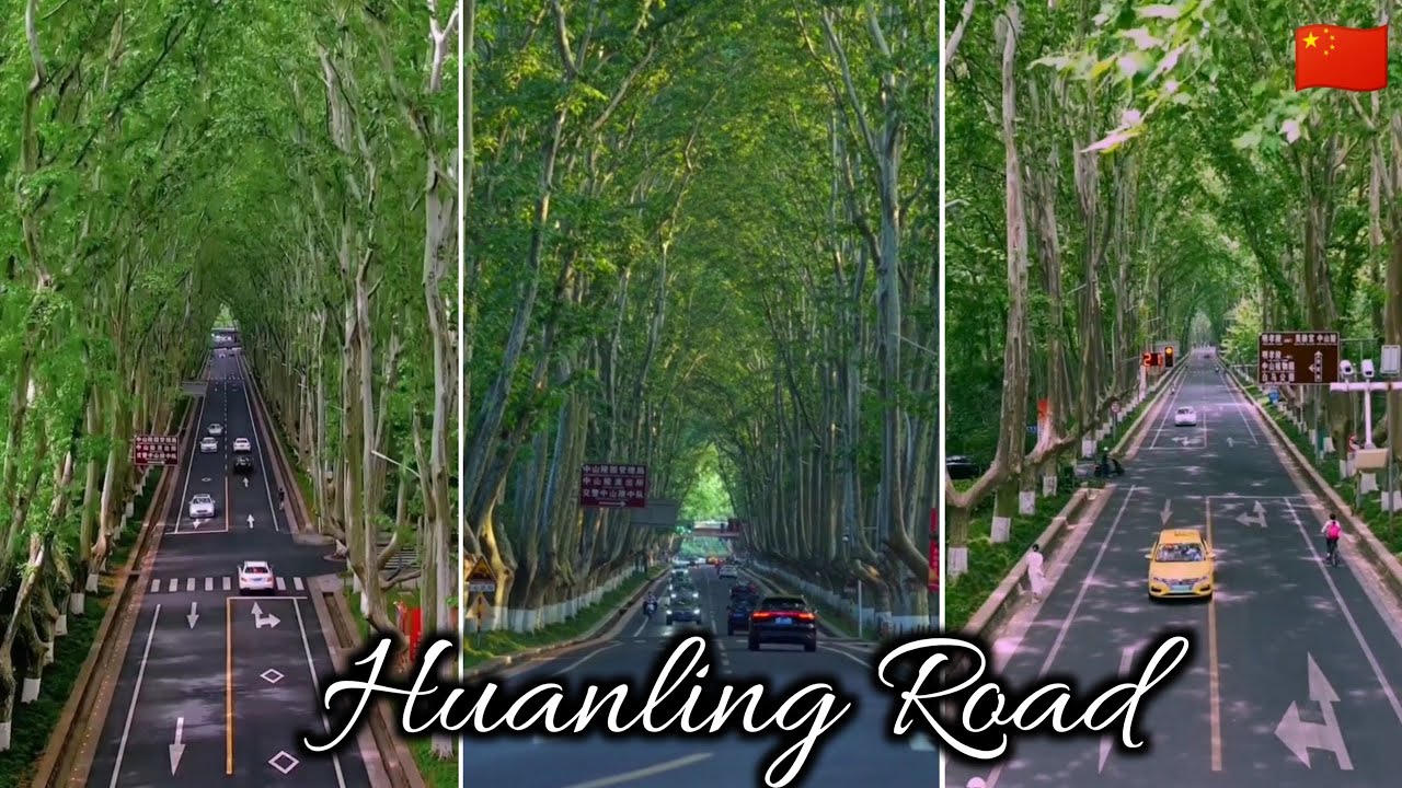 Huanling Road - The Most Beautiful Road in Nanjing, China - YouTube