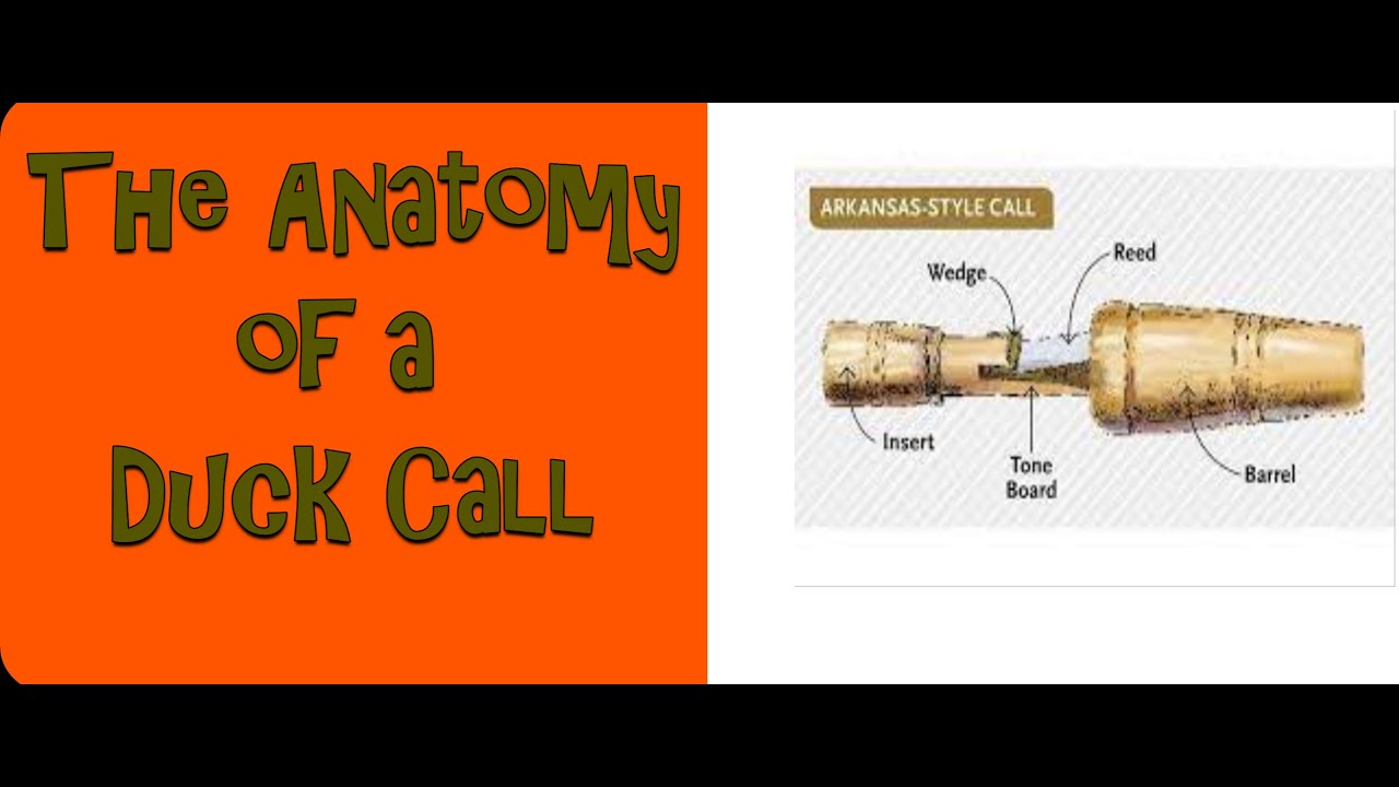 The Anatomy of a Duck Call - YouTube