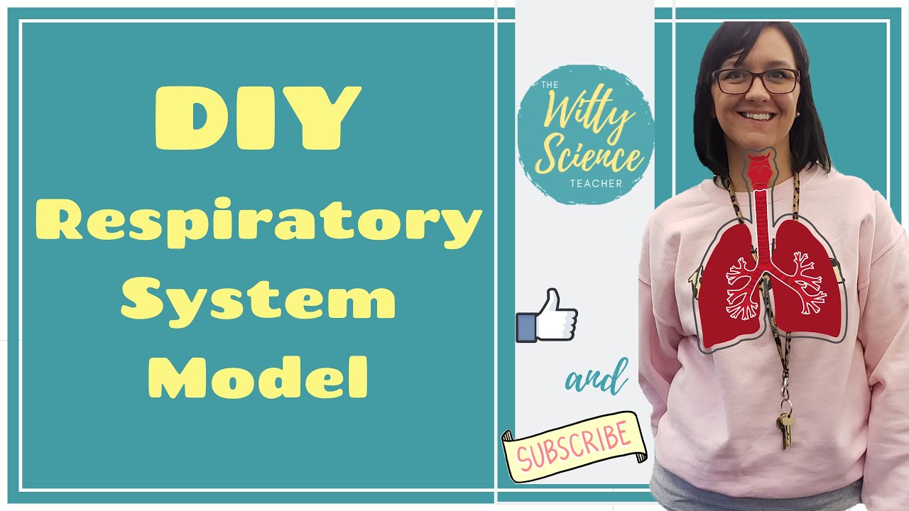 DIY Respiratory System Model - YouTube