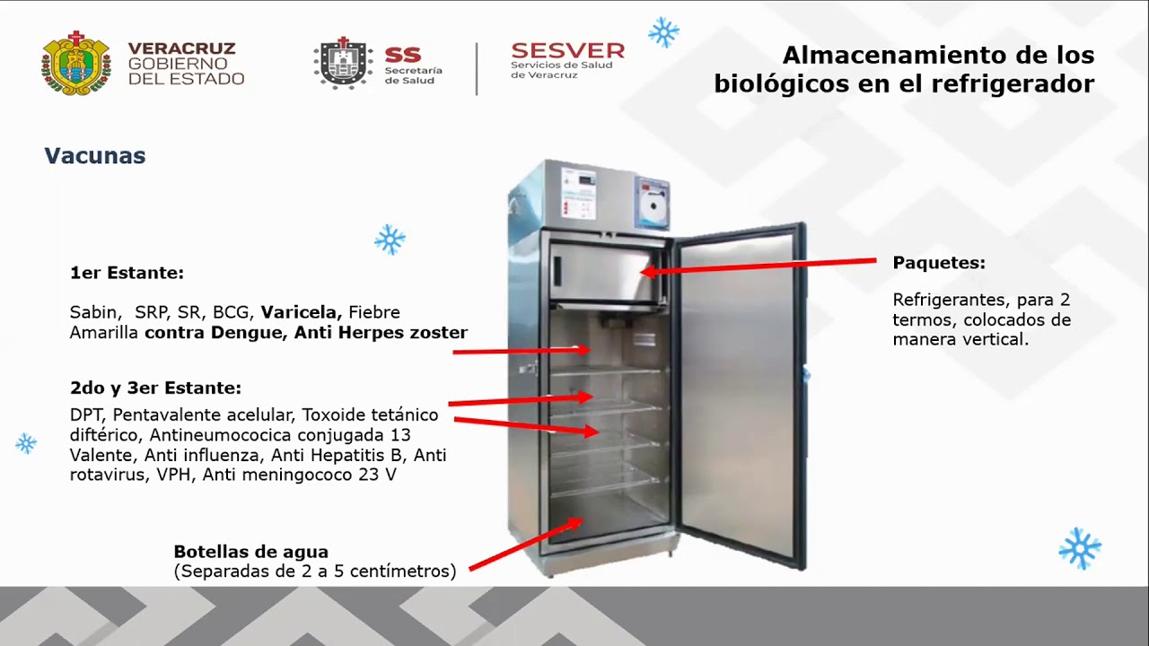 Generalidades de la Red de Frío - YouTube