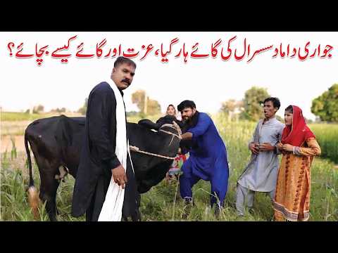 punjabi comedy, Dholan, Jugnu, lali, neli, sheman,  haidar shah, totyshah, nora bhti, sqj