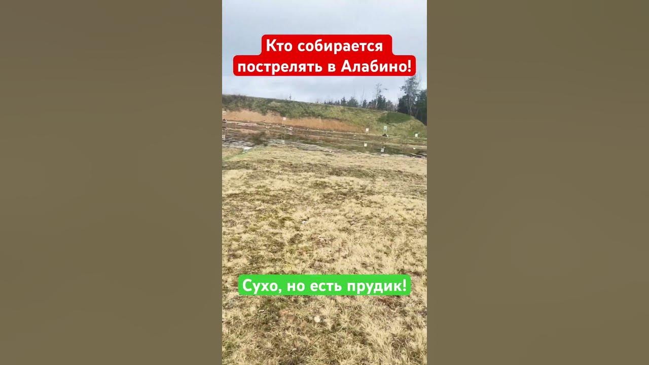 Стрелковые выходные #снайпер #мишень #цель #хобби - YouTube