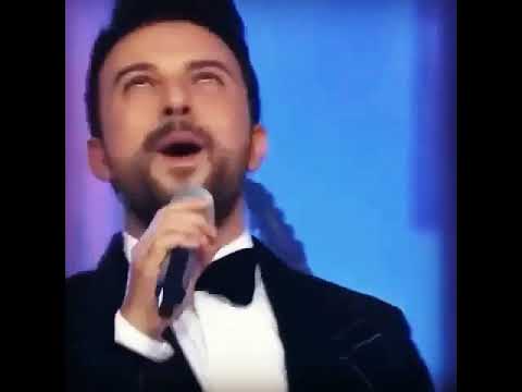 Tarkan ıslak ıslak