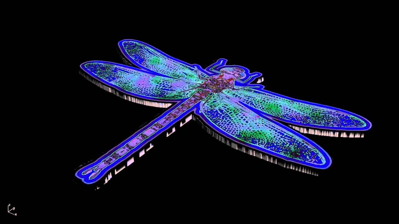 Dragonflies - YouTube