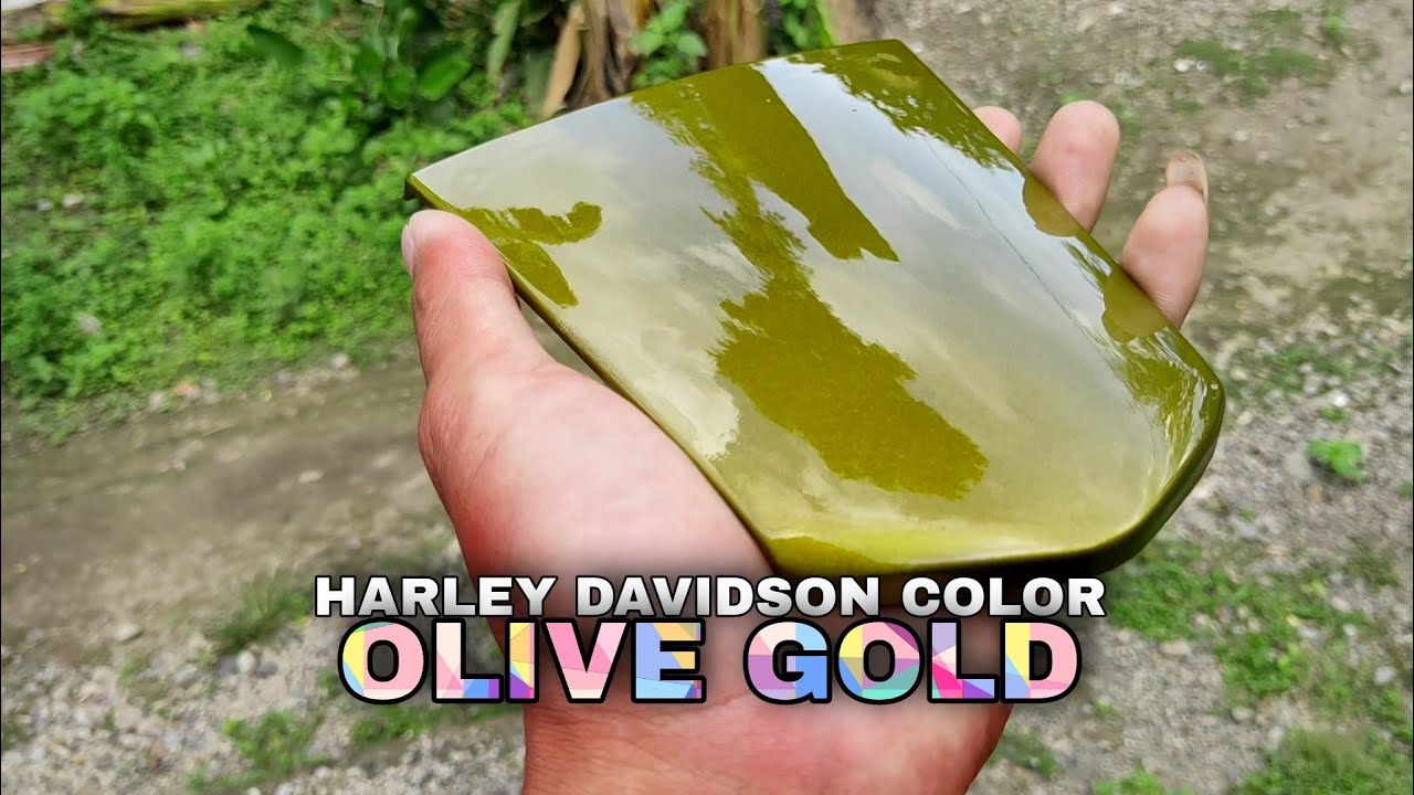 HARLEY DAVIDSON COLOR - OLIVE GOLD DITON PREMIUM 🔥 - YouTube