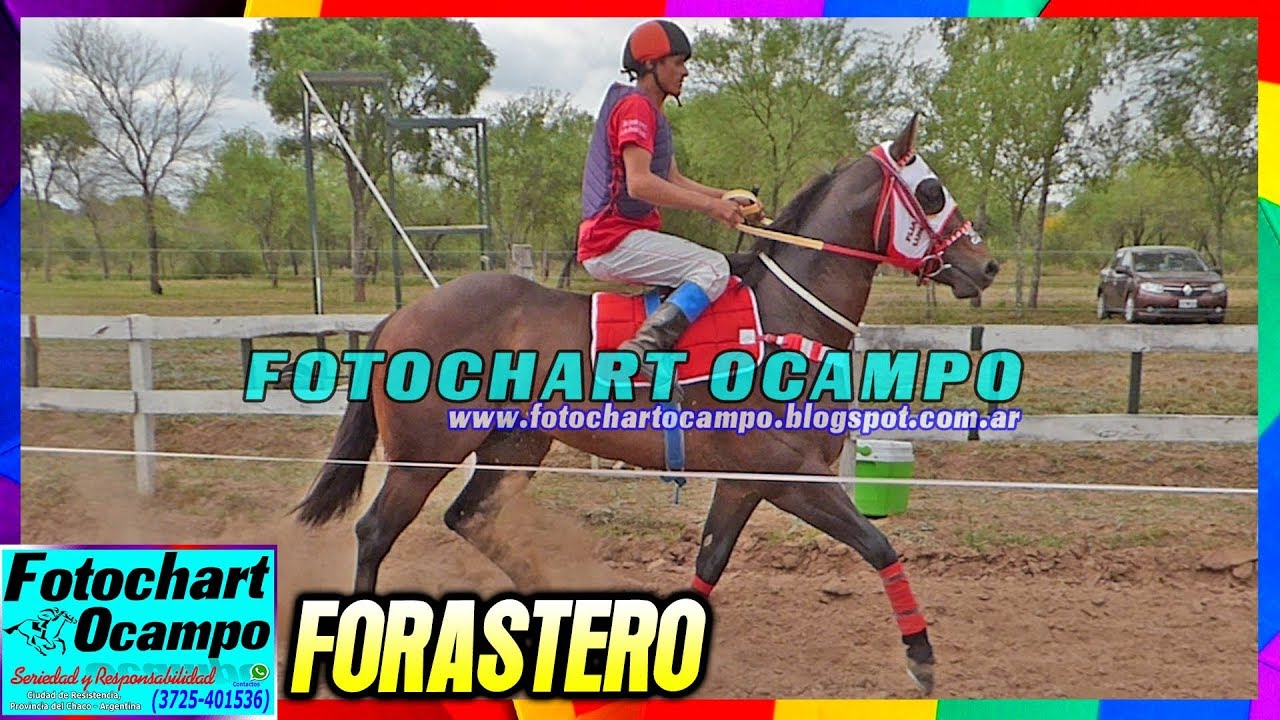 FORASTERO - Campo Gallo.SE 13/10/2019 - YouTube