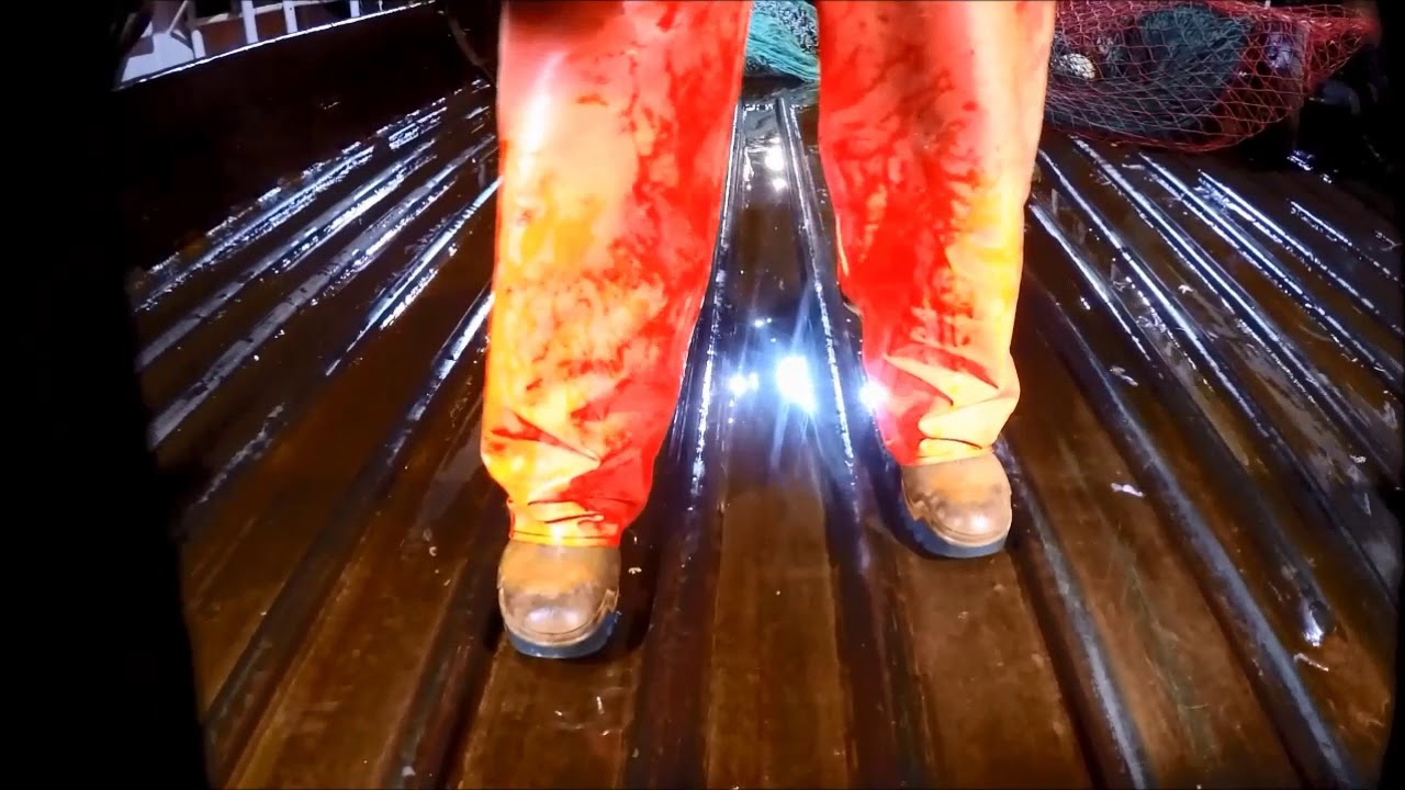 Setting our a benthic video sled for deployment - YouTube