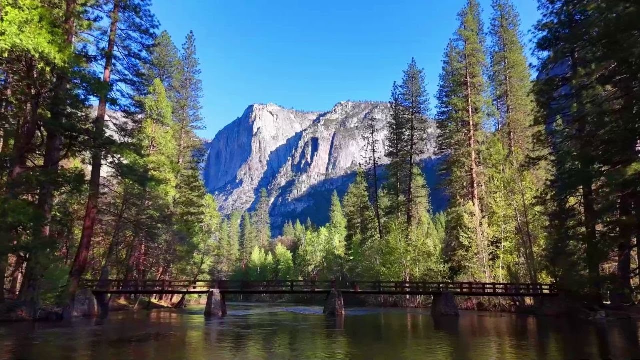 Beautiful river sounds : best water flowing and birds chirping ...