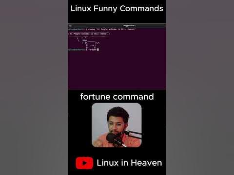 fortune command | Linux funny commands #shorts #bashscripting #opensource #coding #bash # ...