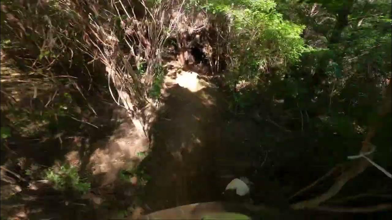 Cable Bay Enduro 2023 - Stage 1 Practice - YouTube