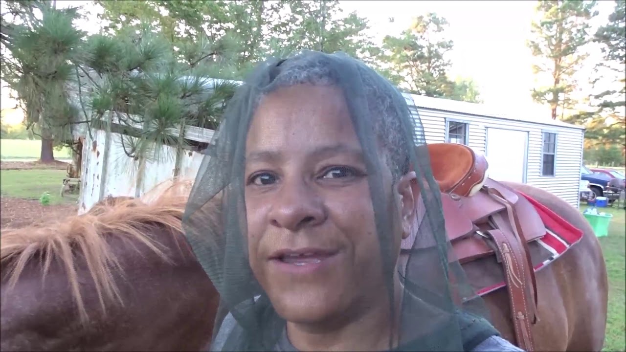 HORSEBACK ARCHERY - YouTube