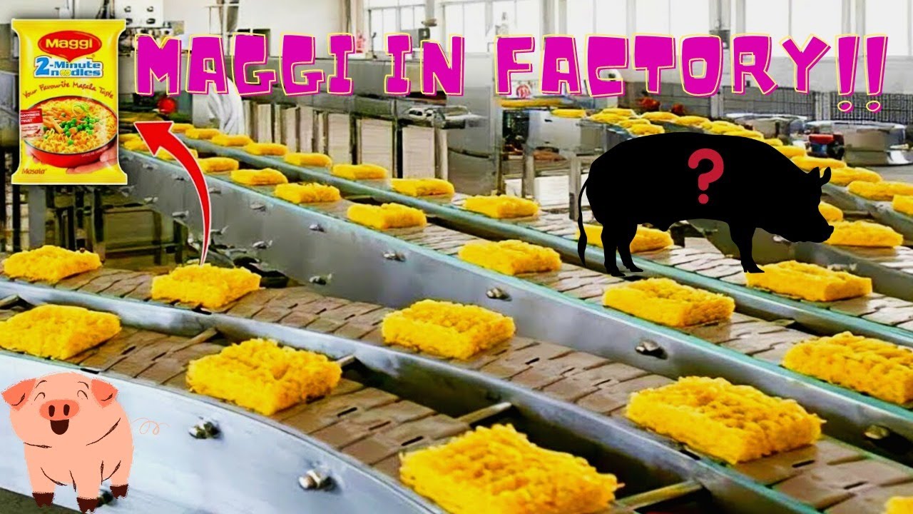How Is Maggi Made In Factory (PIG??) - YouTube