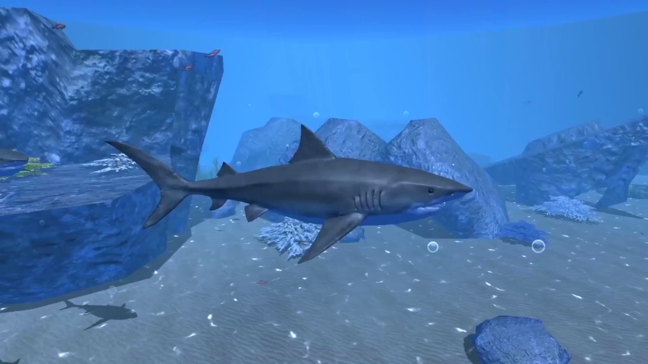 Great White Shark VS Dolphin, Orca, Whale. Ultimate Ocean Simulator ...