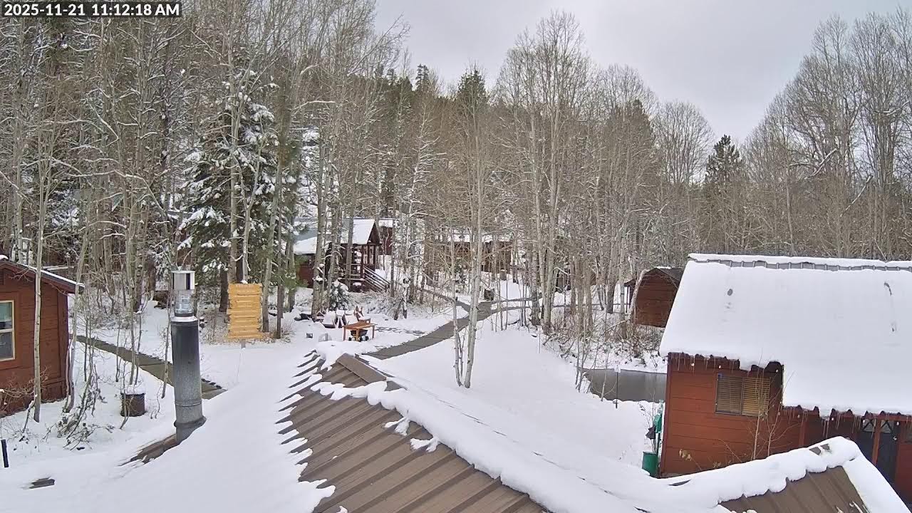 Live Leaf Cam - Desolation Hotel Hope Valley - YouTube
