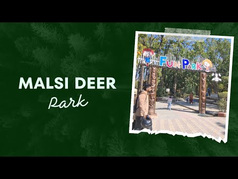 Malsi Deer Park/Dehradun/travelling vlog/2025 vlog - YouTube