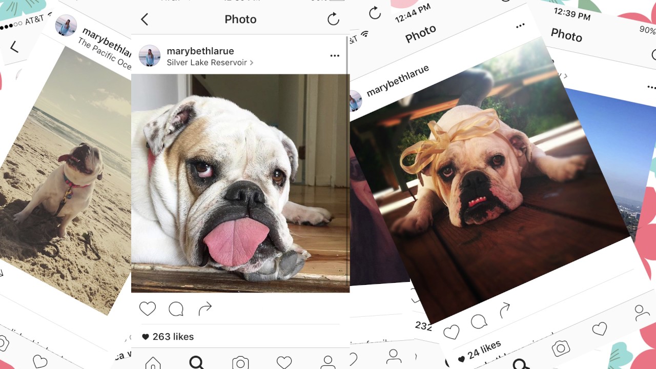 Dogs of Yoga: Mary Beth and Rosy - YouTube